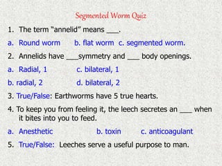 annelids (2).pptx it is very important documents for both lower grade ...