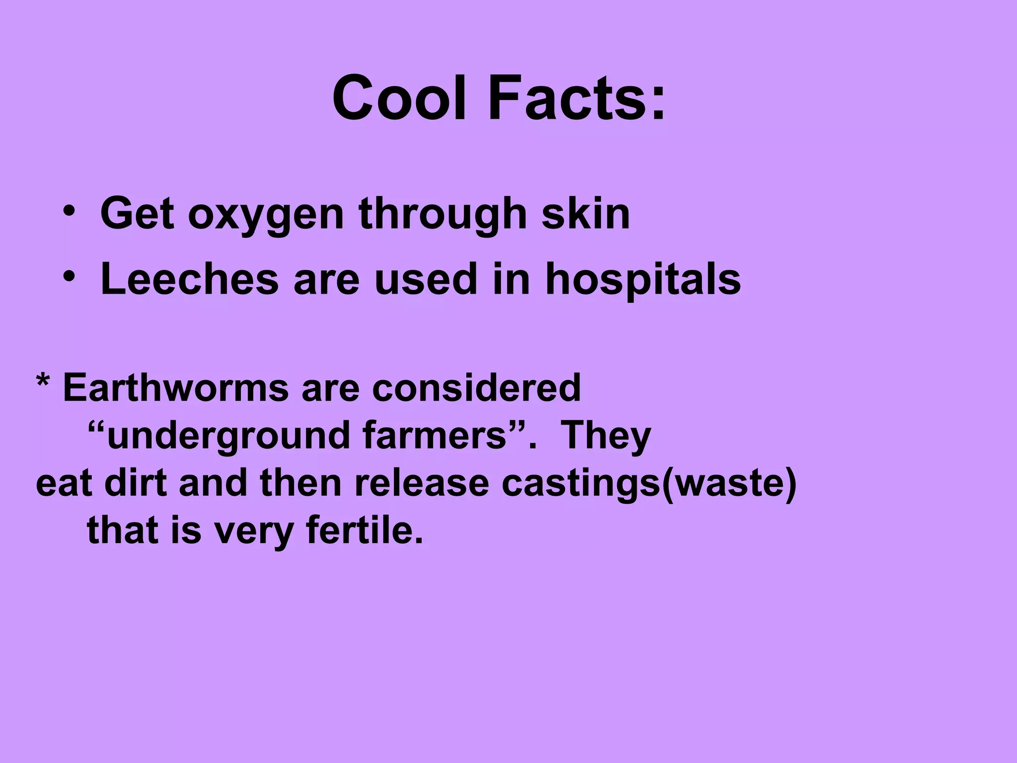 Annelid worms evelyn | PPT