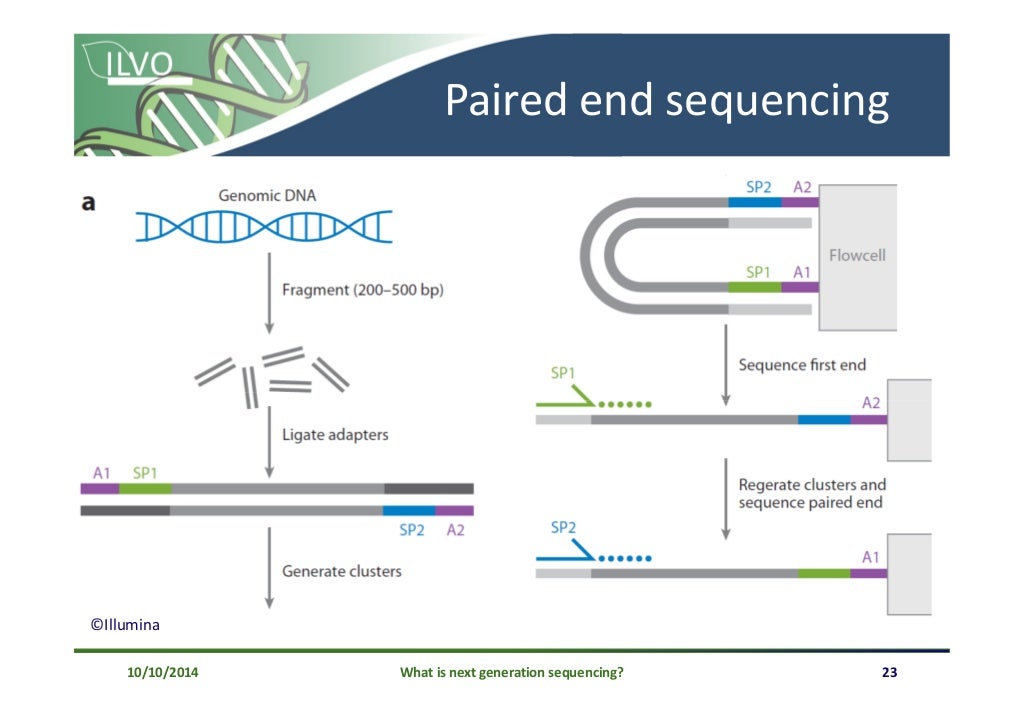 NGS - Basic principles and sequencing platforms