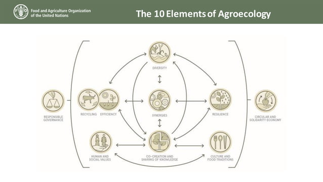 Using agroecology to measure sustainability in agriculture TAPE – the ...