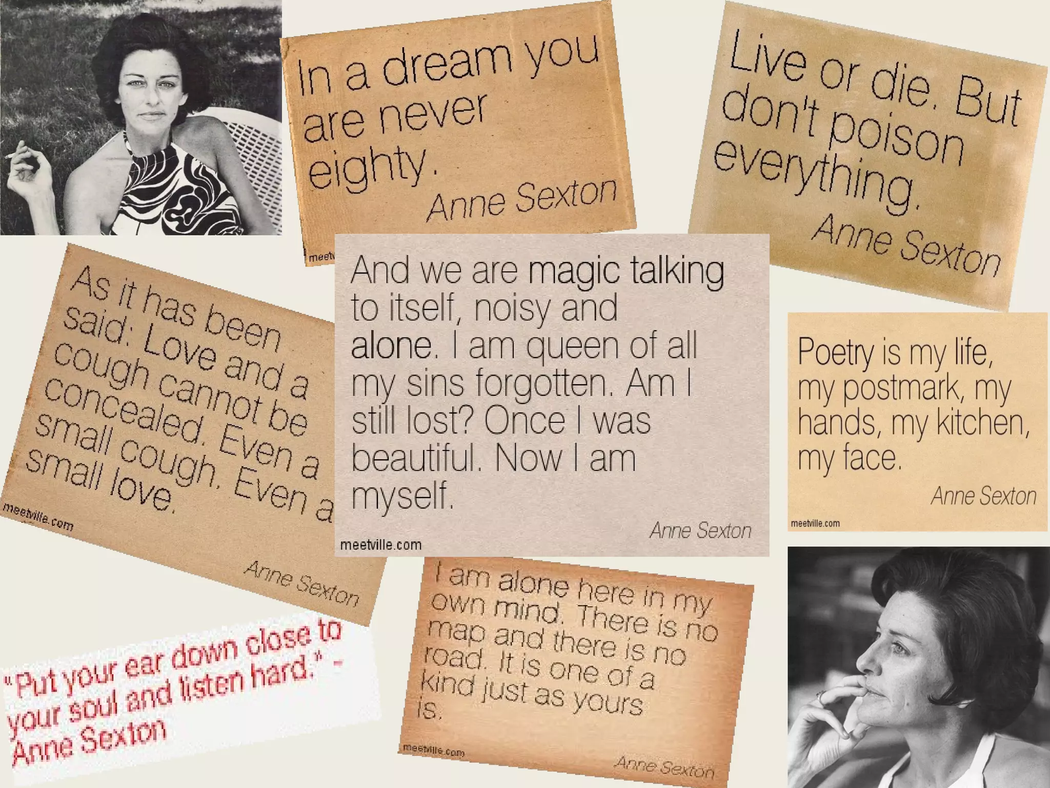 Anne Sexton: the famous American poetess | PPT