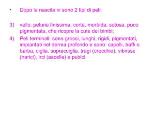 Annessi cutanei | PPT