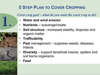 7. Cover Crops in Ontario Production Systems - Anne Verhallen | PDF