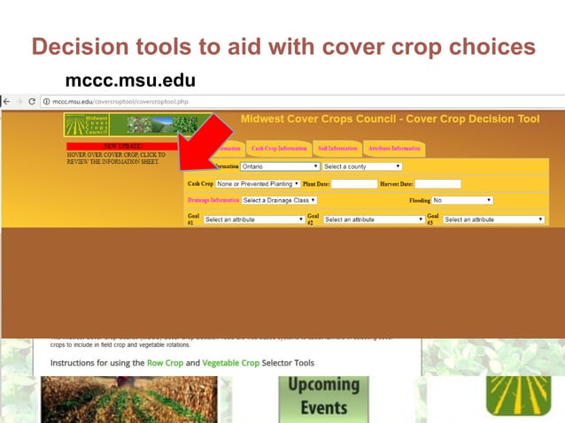 7. Cover Crops in Ontario Production Systems - Anne Verhallen | PPT