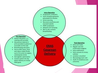 Annex 21c Clinical audits 3-Gyne (1).pptx