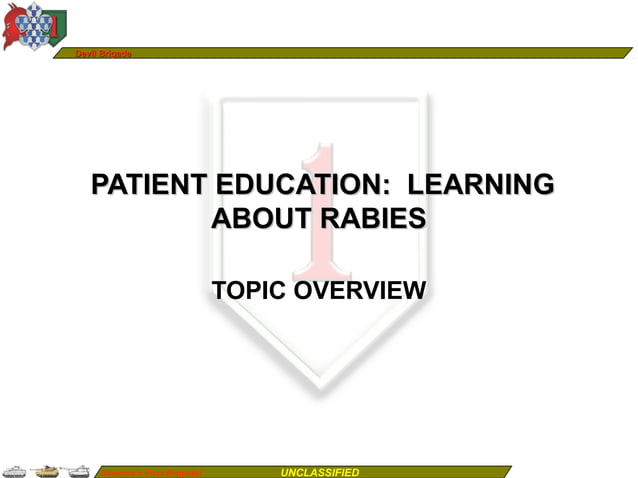 Rabies Education | PPT | Infectious Diseases | Diseases and Conditions