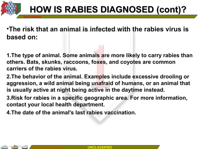Rabies Education | PPT | Infectious Diseases | Diseases and Conditions