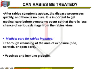 Rabies Education | PPT | Infectious Diseases | Diseases and Conditions