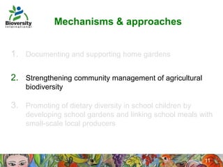 BFN Project - Mechanisms for mobilizing Biodiversity for Food and Nutrition | PPT