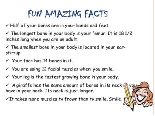 SKELETAL SYSTEM PP for Kids | PPT