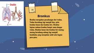 sistem pernapasan pada manusia | PPTX