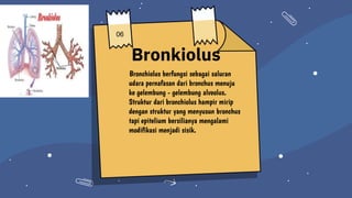 sistem pernapasan pada manusia | PPTX