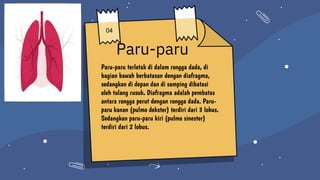 sistem pernapasan pada manusia | PPTX