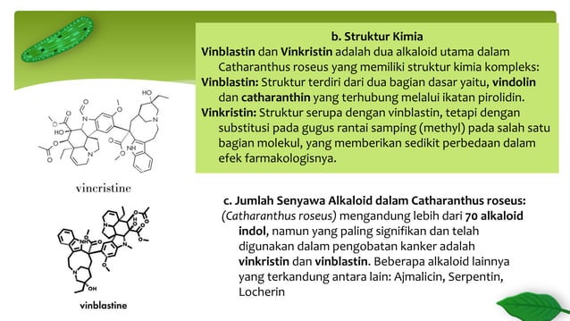 bbbbbbbbbbbbbbbbbbbbbbbbbbbbbbbbbbbbbbbbb | PPT