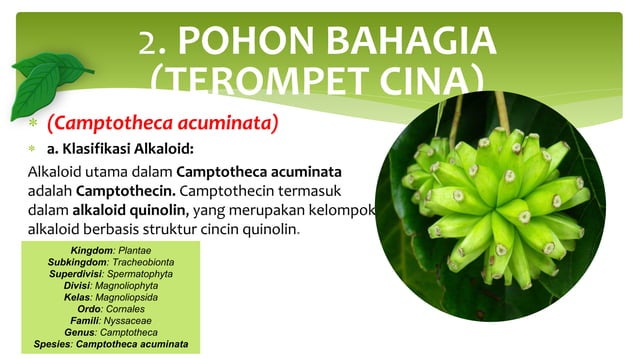 bbbbbbbbbbbbbbbbbbbbbbbbbbbbbbbbbbbbbbbbb | PPT