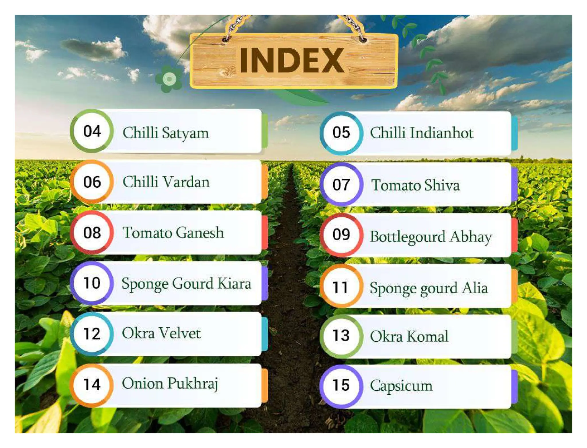 ANNI SEEDS "Nurturing the Earth, Feeding the World" | PPT