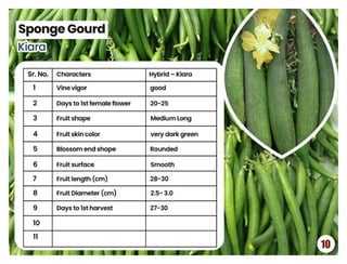 ANNI SEEDS "Nurturing the Earth, Feeding the World" | PPT