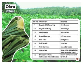 ANNI SEEDS "Nurturing the Earth, Feeding the World" | PPT