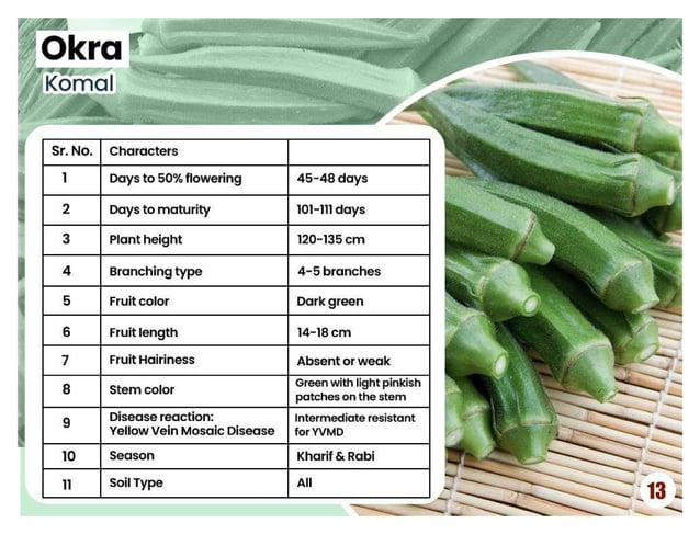 ANNI SEEDS "Nurturing the Earth, Feeding the World" | PPT