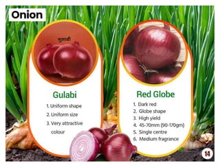 ANNI SEEDS "Nurturing the Earth, Feeding the World" | PPT