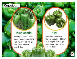 ANNI SEEDS "Nurturing the Earth, Feeding the World" | PPT