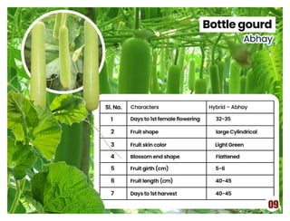 ANNI SEEDS "Nurturing the Earth, Feeding the World" | PPT