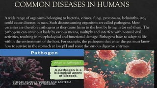 Human Health and Diseases revised.pptx
