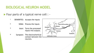 Ann model and its application | PPTX