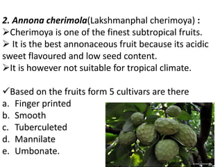 Cultivation of Annonas | PPTX