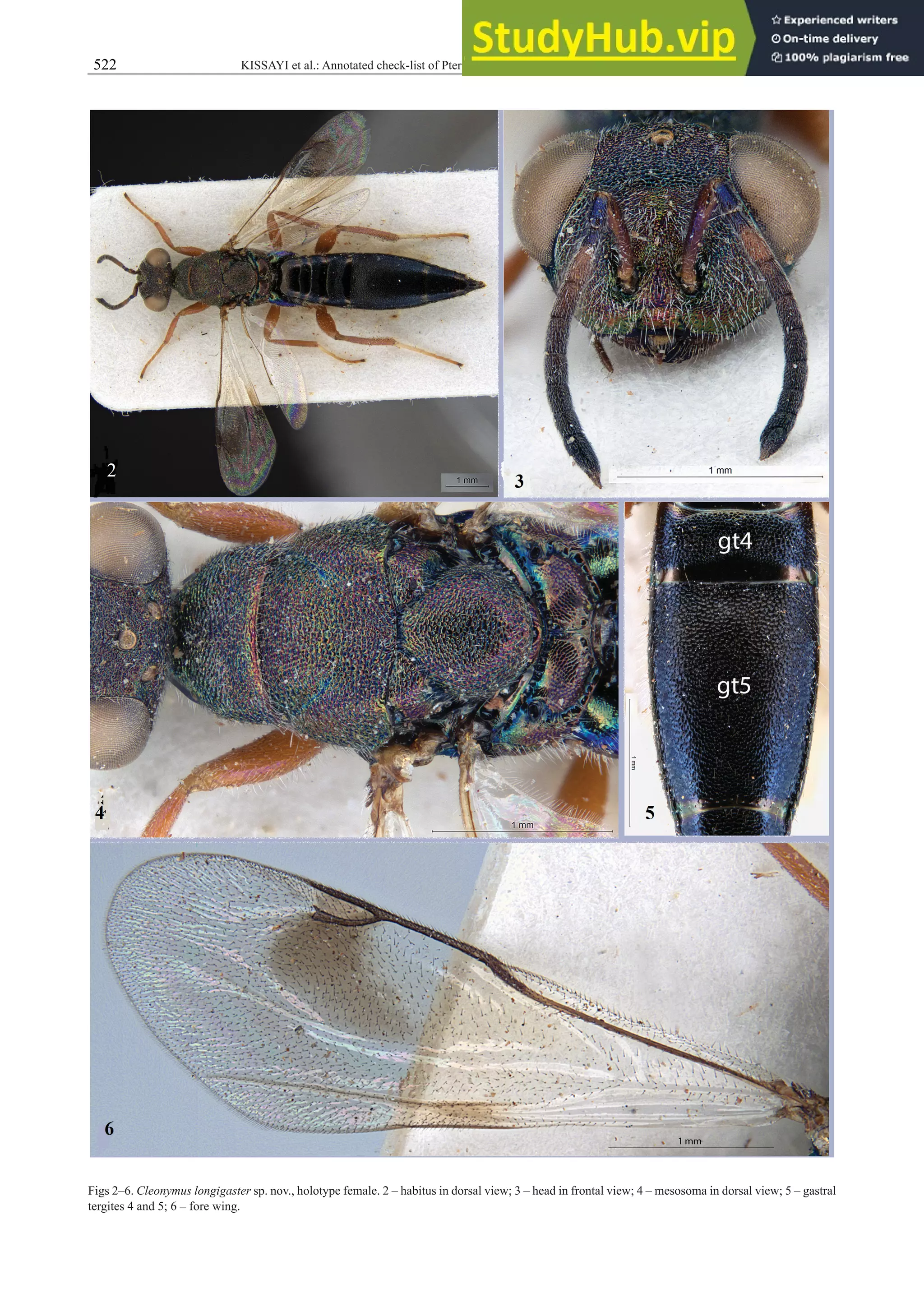 Annotated Check-List Of Pteromalidae (Hymenoptera Chalcidoidea) Of Morocco. Part I | PDF