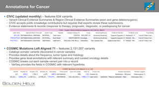Annotation capabilities | PPT