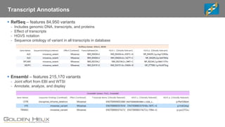 Annotation capabilities | PPT