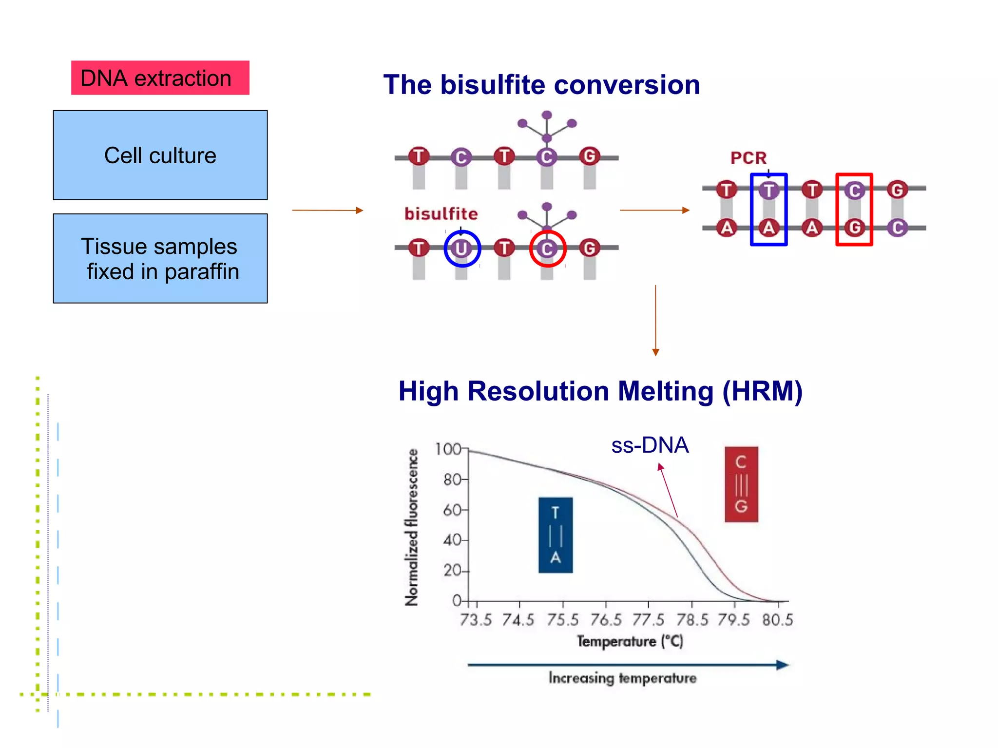 Annovi HRM and Epigenetics | PPT