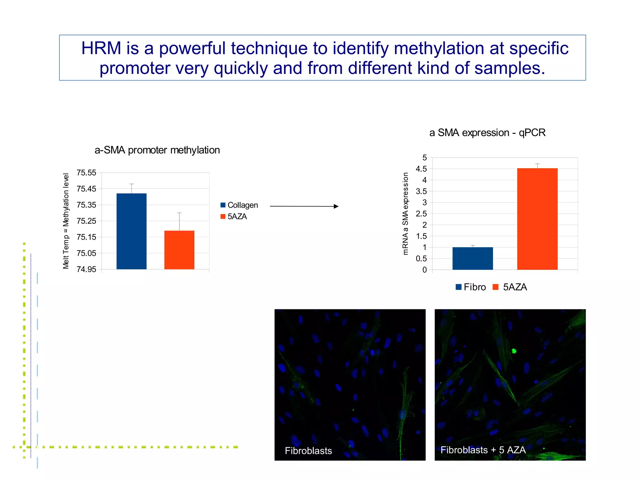 Annovi HRM and Epigenetics | PPT