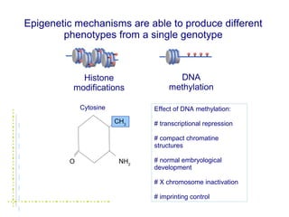 Annovi HRM and Epigenetics | PPT