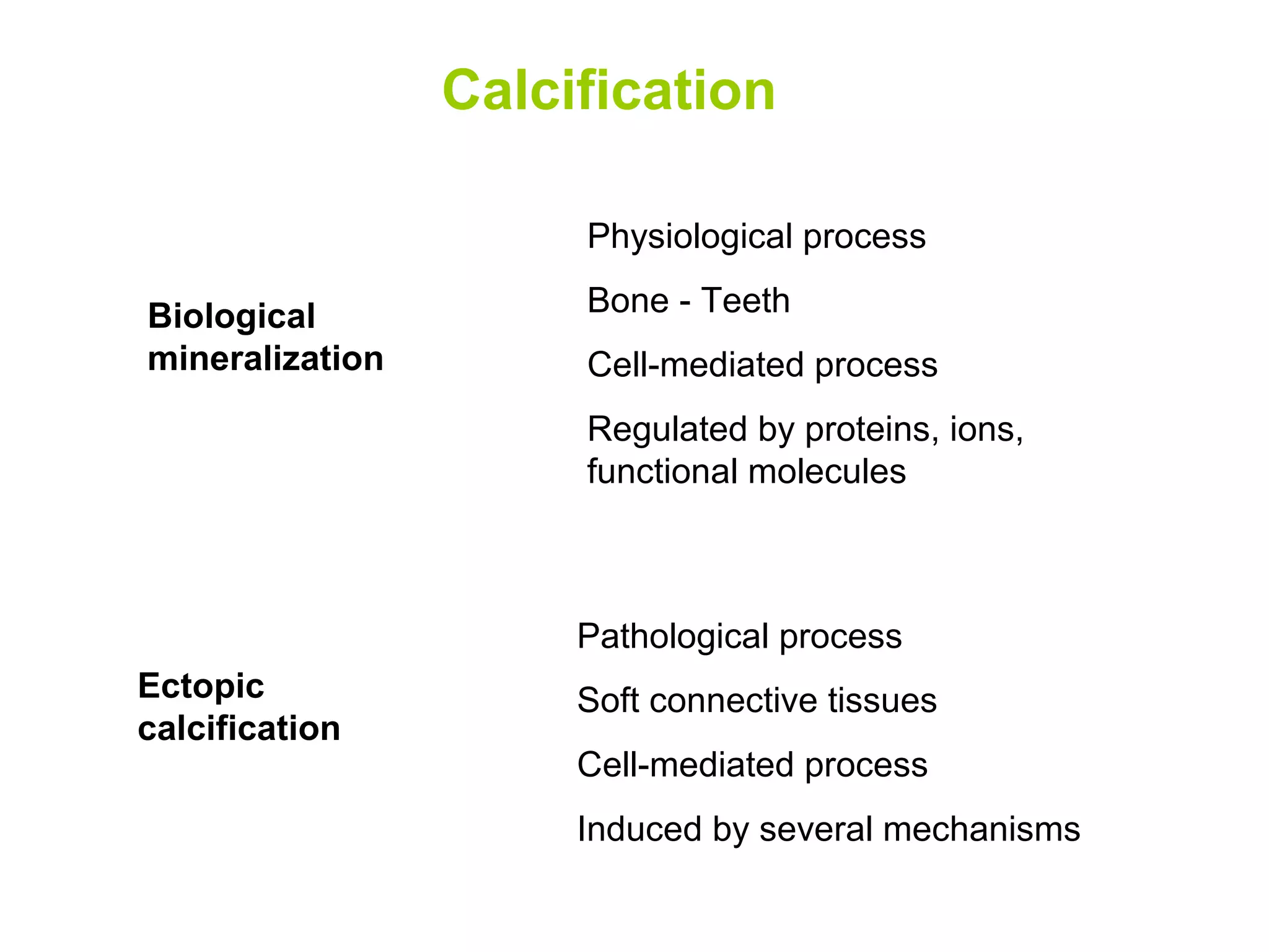 The role of fibroblast in ectopic calcification | PPT