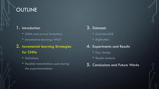 Comparing Incremental Learning Strategies for Convolutional Neural Networks | PDF | Internet for ...