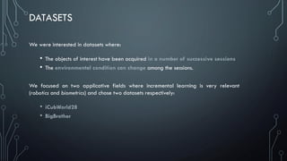 Comparing Incremental Learning Strategies for Convolutional Neural Networks | PDF | Internet for ...