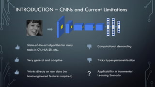 Comparing Incremental Learning Strategies for Convolutional Neural Networks | PDF | Internet for ...