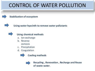 Water Pollution Prevention Tips