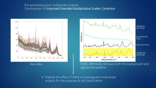 Project.2020 ravera | PPT
