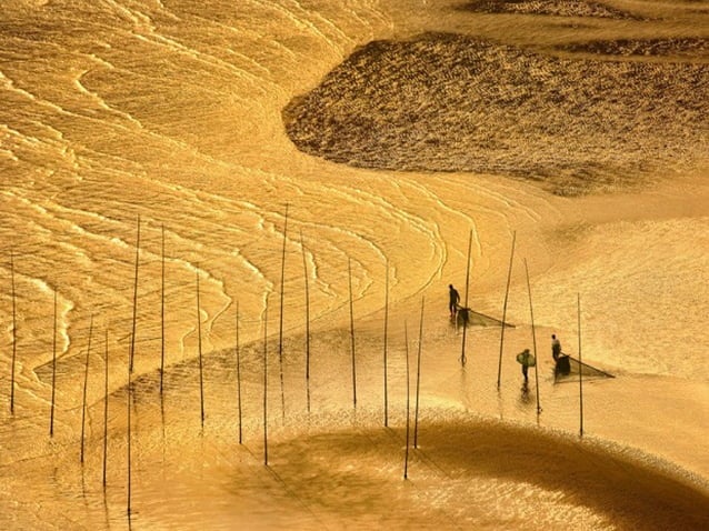 Annual Photo Contest by Smithsonian Magazine