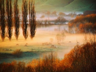 Annual Photo Contest by Smithsonian Magazine