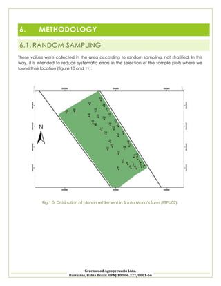 Greenwood Management acacia forestry report | PDF