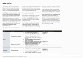 Revolut strategy annual report 2024.pdf