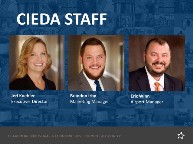 Annual Report Presentation - CIEDA - 2014 | PPT