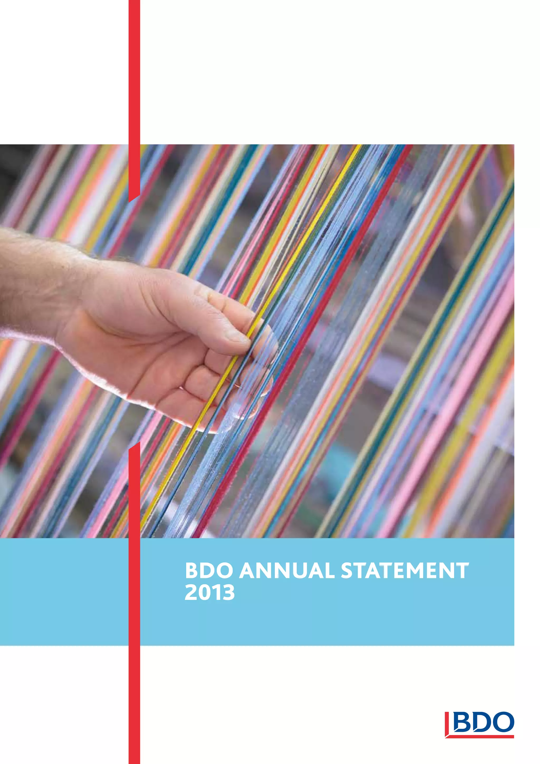 BDO Annual statement 2013 | PDF