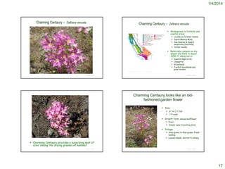 Annual wildflowers 2014 final - notes | PPT