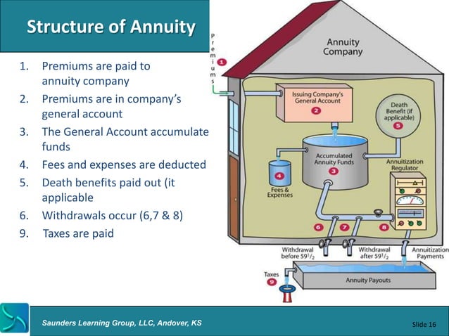 Annuity Basics | PPTX