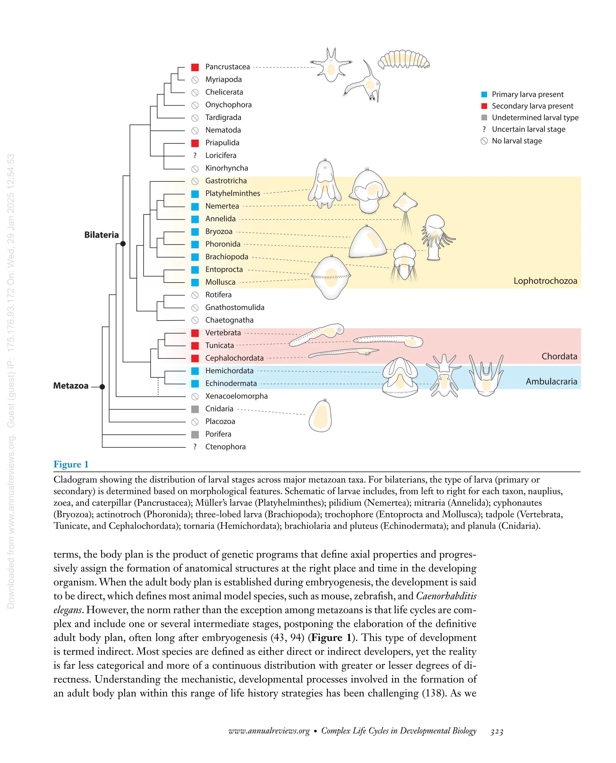 Chapter 2 of integrating complex life cycle in comparative study for ...